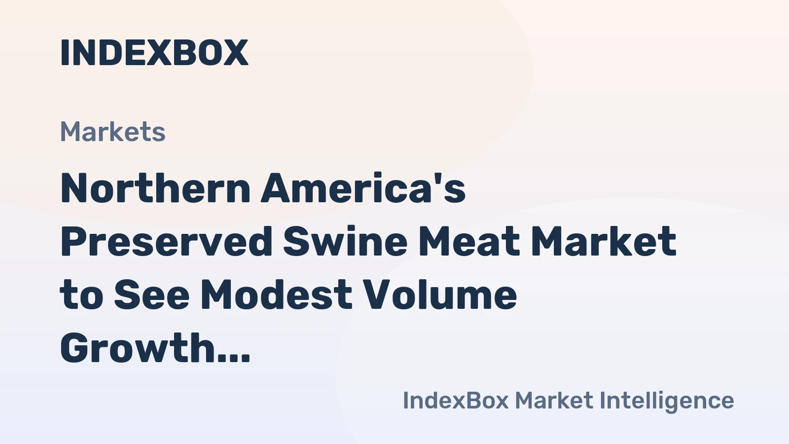 Northern America's Preserved Swine Meat Market to See Modest Volume Growth and Stronger Value Expansion at a 1.2% CAGR