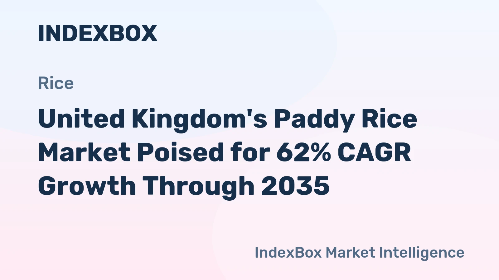 United Kingdom's Paddy Rice Market Poised for 62% CAGR Growth Through 2035