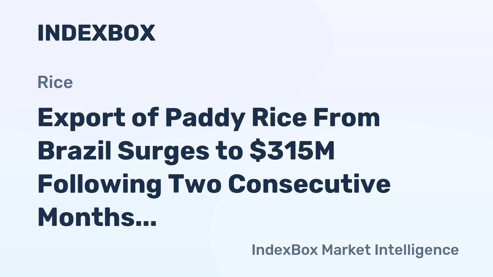 Export of Paddy Rice From Brazil Surges to $315M Following Two Consecutive Months of Growth in 2023