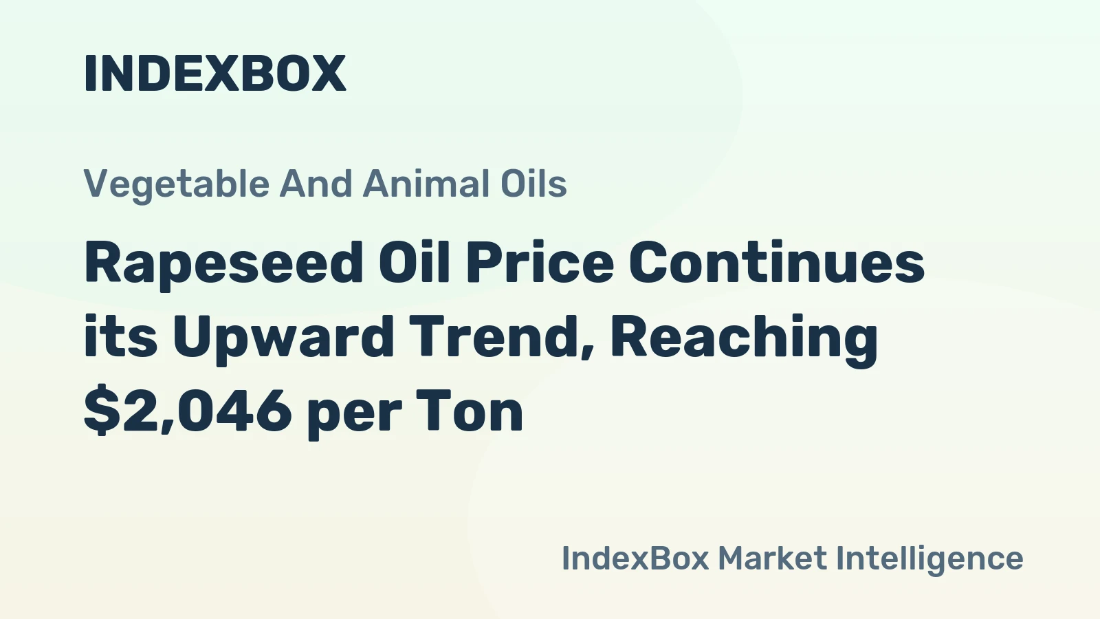 Rapeseed Oil Price Continues its Upward Trend, Reaching $2,046 per Ton