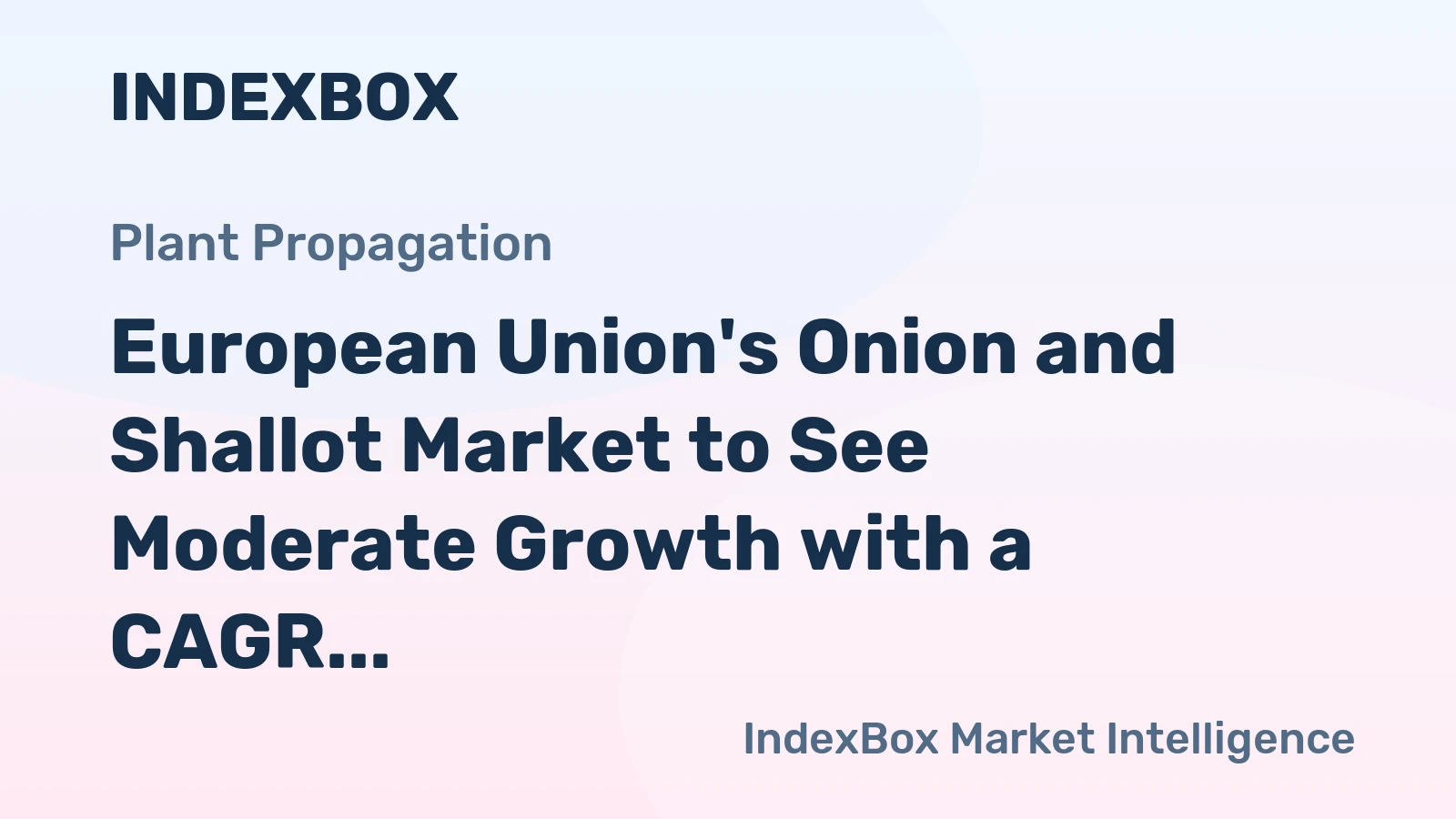 European Union's Onion and Shallot Market to See Moderate Growth with a CAGR of +0.5% from 2024 to 2035