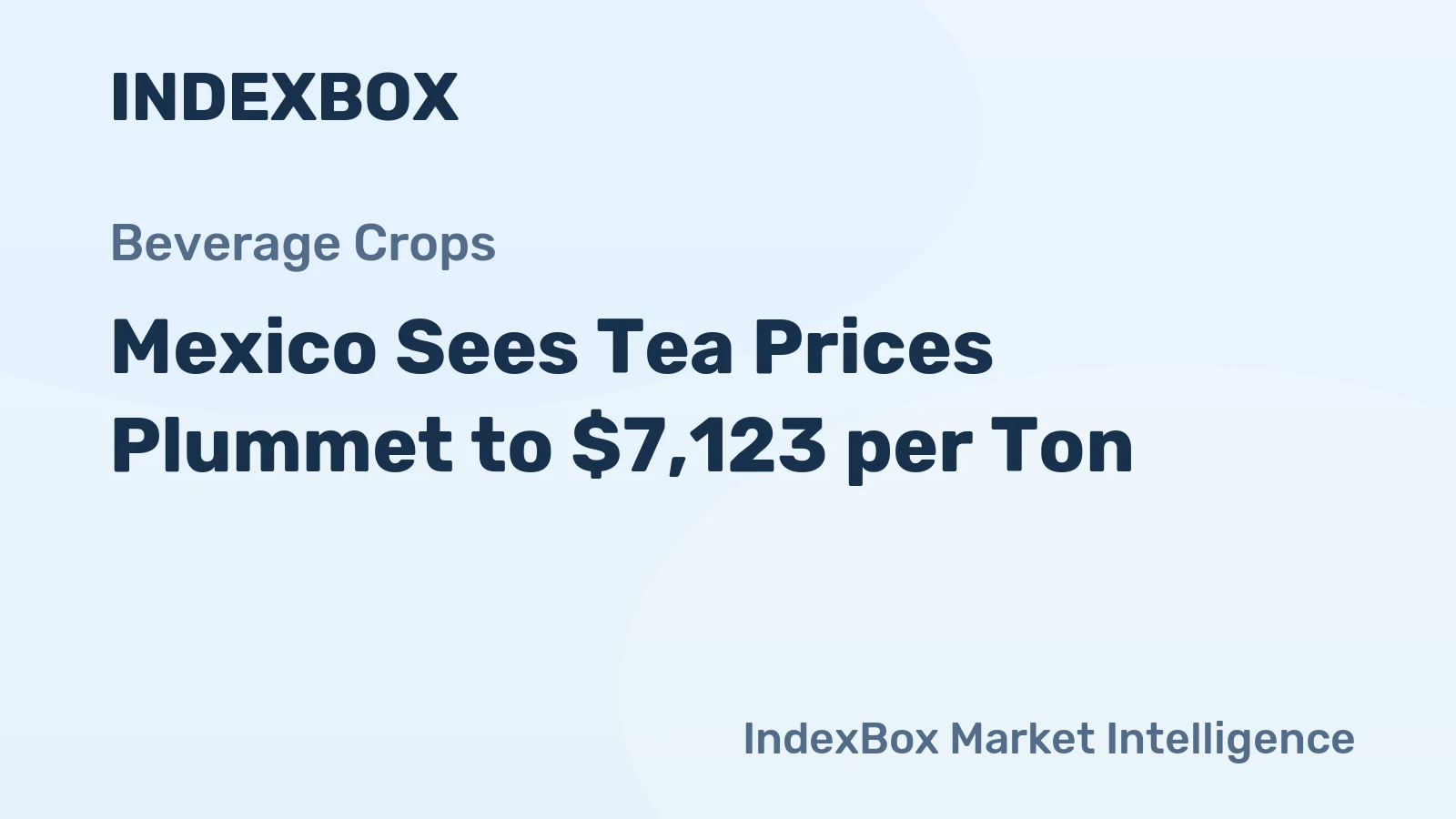 Mexico Sees Tea Prices Plummet to $7,123 per Ton