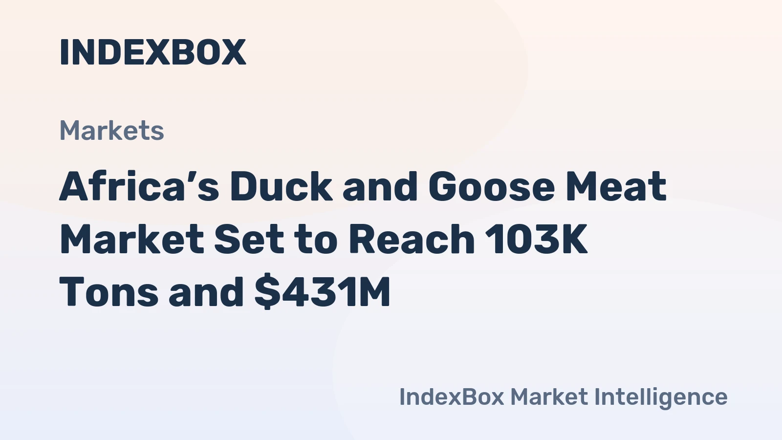 Africa’s Duck and Goose Meat Market Set to Reach 103K Tons and $431M