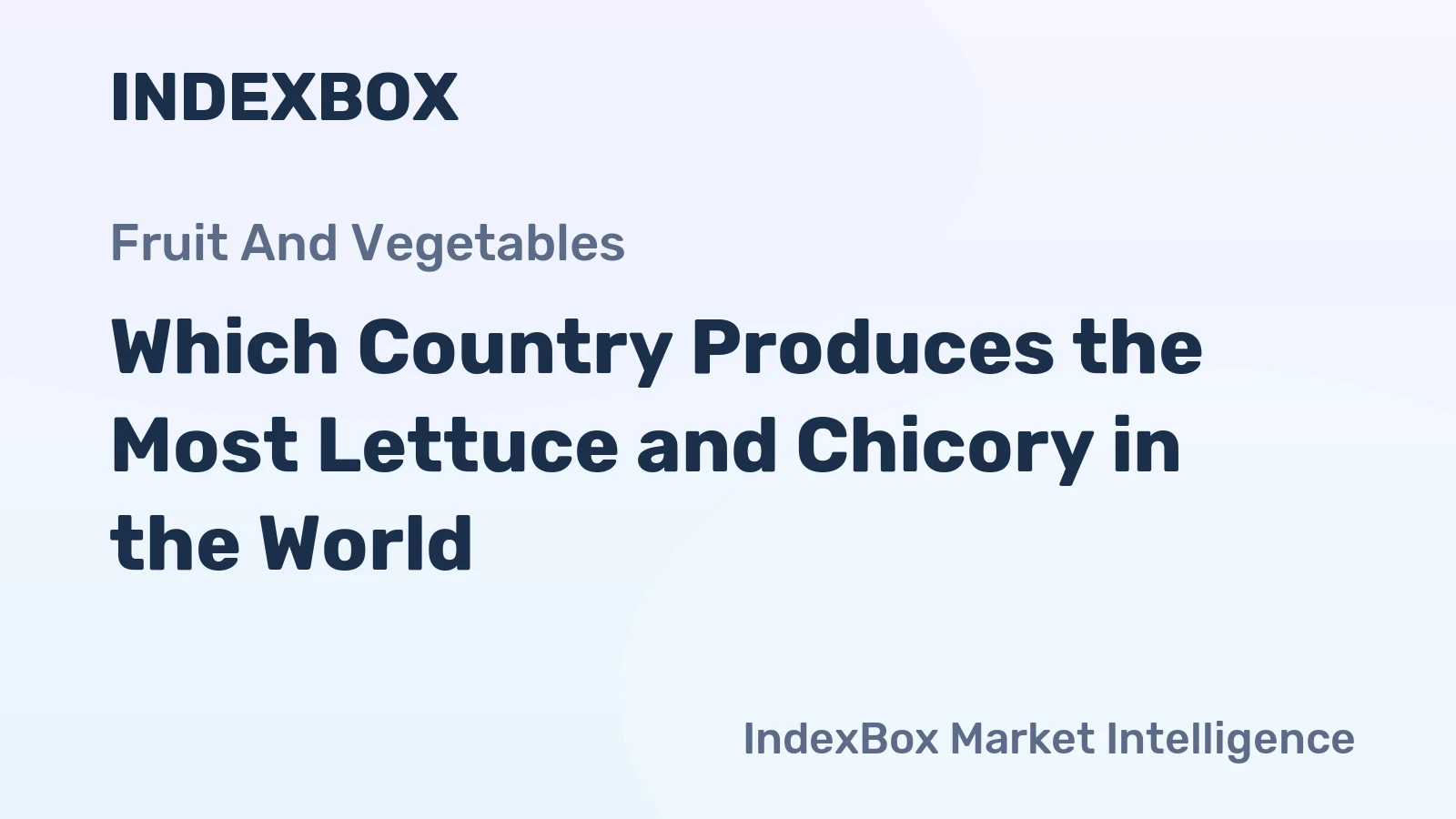 Which Country Produces the Most Lettuce and Chicory in the World?