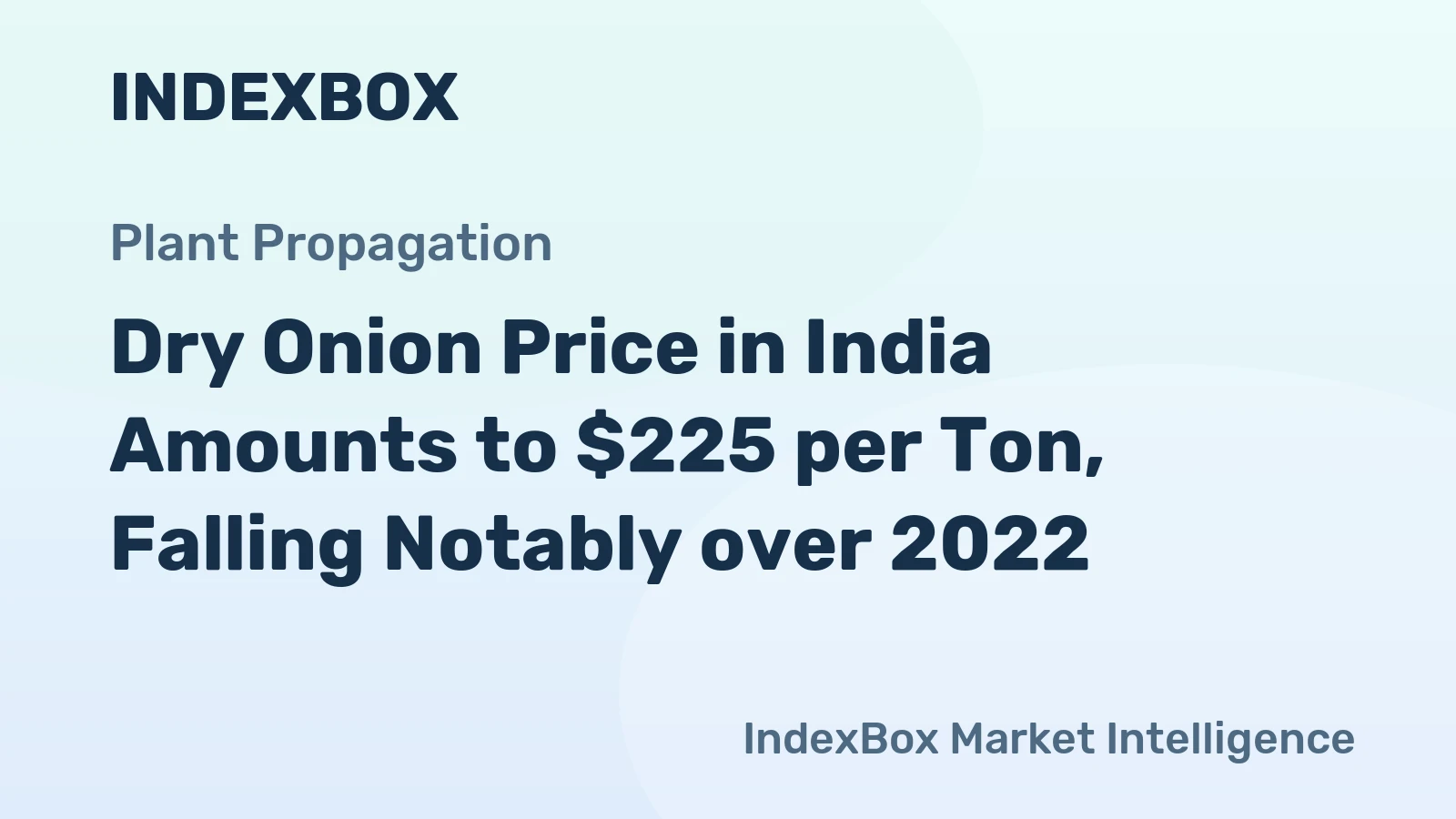 Dry Onion Price in India Amounts to $225 per Ton, Falling Notably over 2022