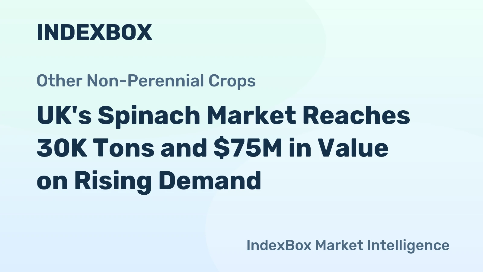 UK's Spinach Market Reaches 30K Tons and $75M in Value on Rising Demand