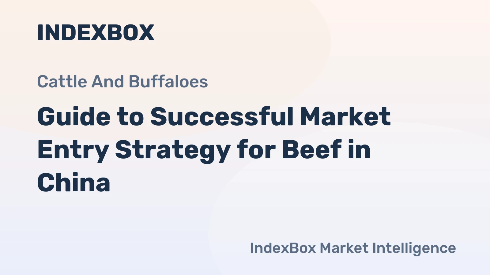 Guide to Successful Market Entry Strategy for Beef in China