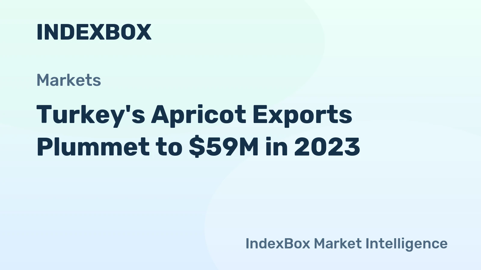 Turkey's Apricot Exports Plummet to $59M in 2023