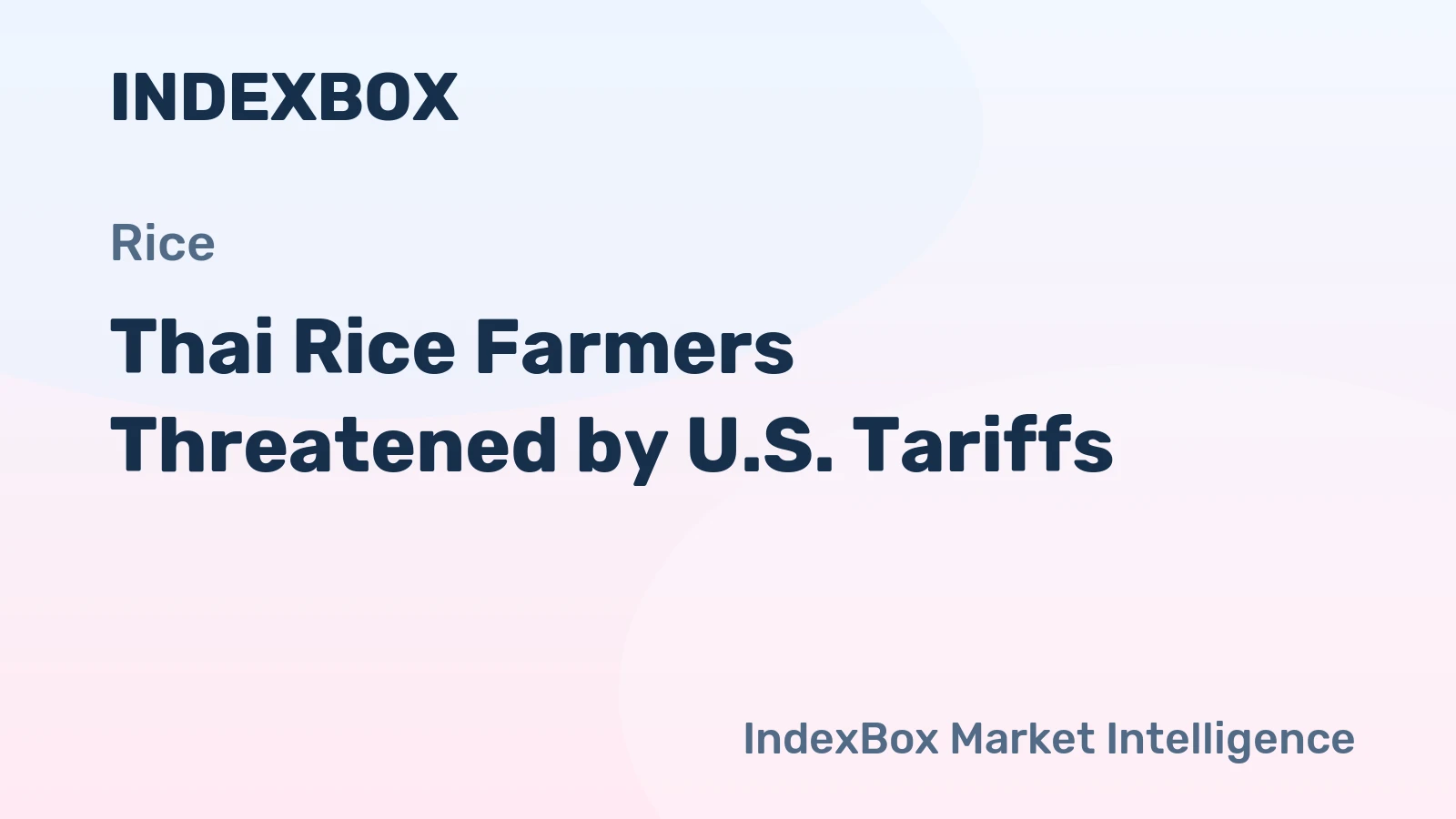 Thai Rice Farmers Threatened by U.S. Tariffs