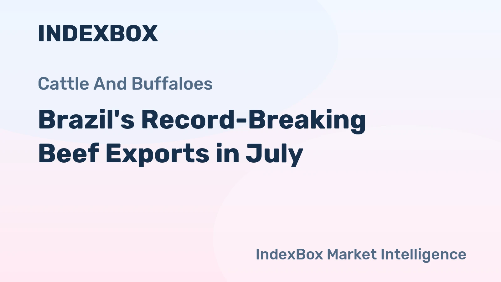 Brazil's Record-Breaking Beef Exports in July