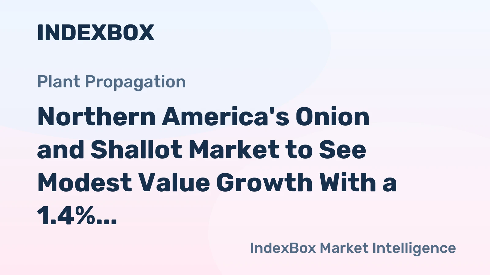 Northern America's Onion and Shallot Market to See Modest Value Growth With a 1.4% CAGR Through 2035