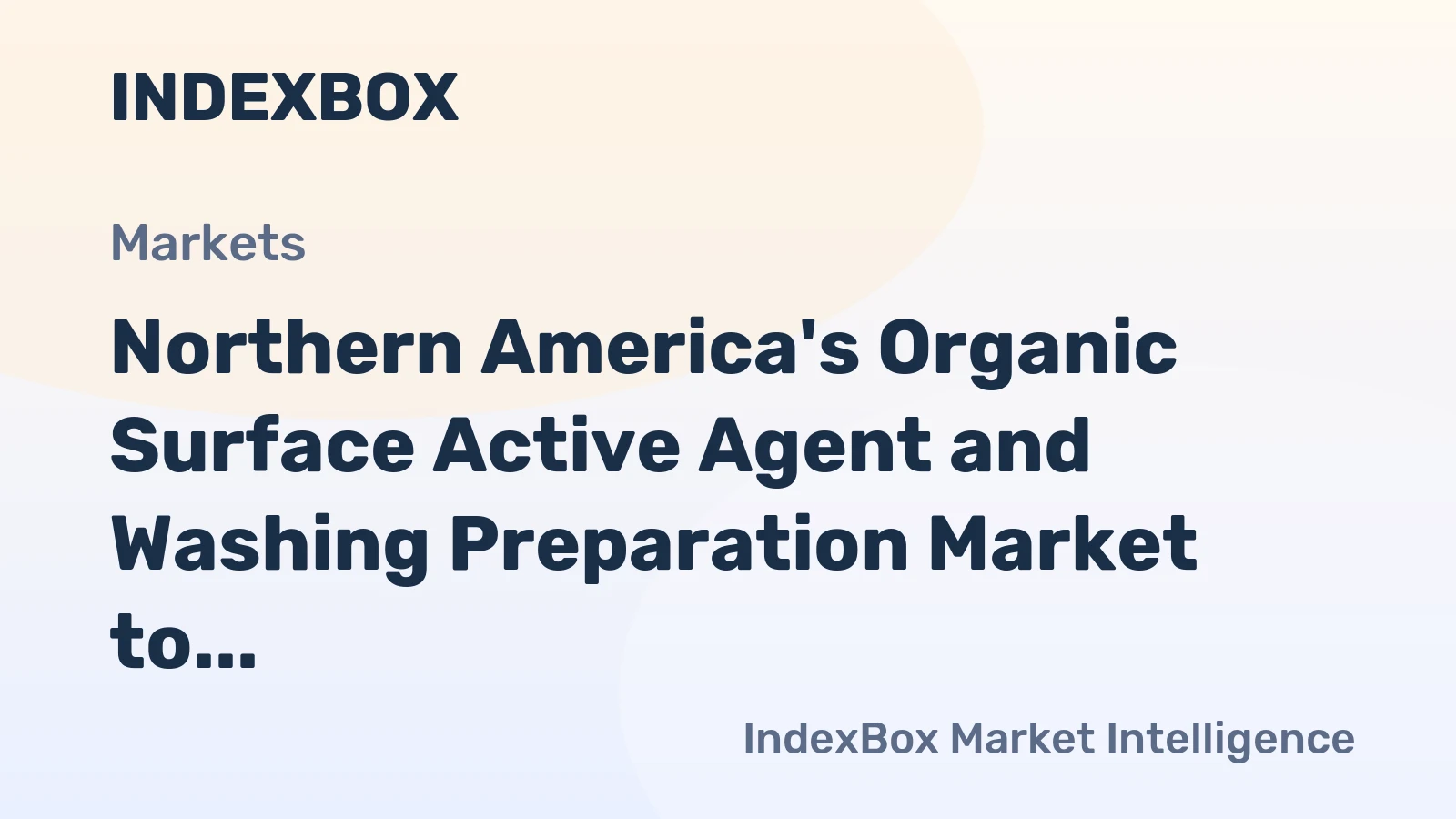 Northern America's Organic Surface Active Agent and Washing Preparation Market to Witness Slow Growth with CAGR of +0.4% from 2024 to 2035