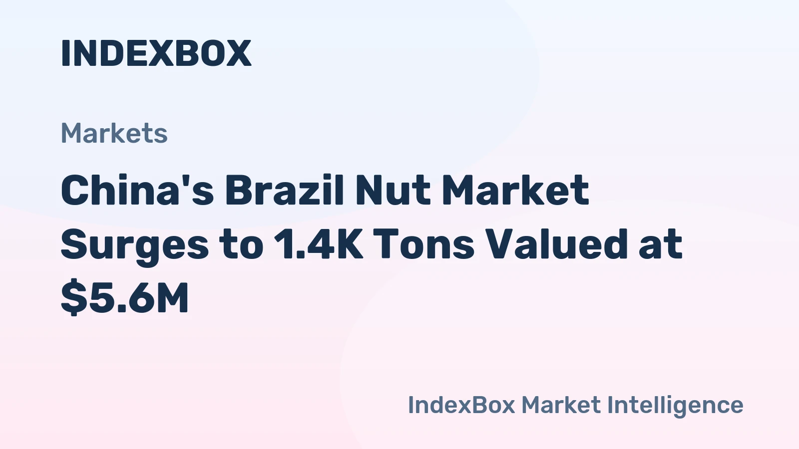China's Brazil Nut Market Surges to 1.4K Tons Valued at $5.6M
