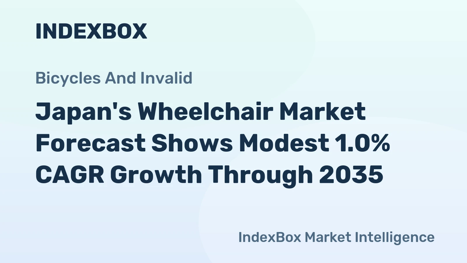 Japan's Wheelchair Market Forecast Shows Modest 1.0% CAGR Growth Through 2035