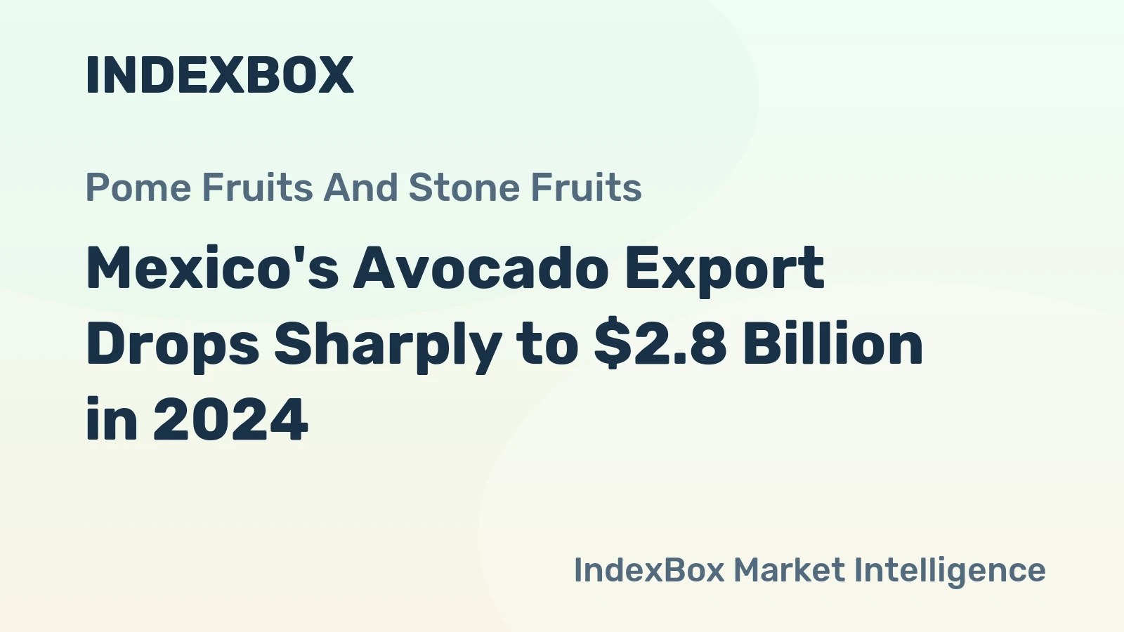 Mexico's Avocado Export Drops Sharply to $2.8 Billion in 2024