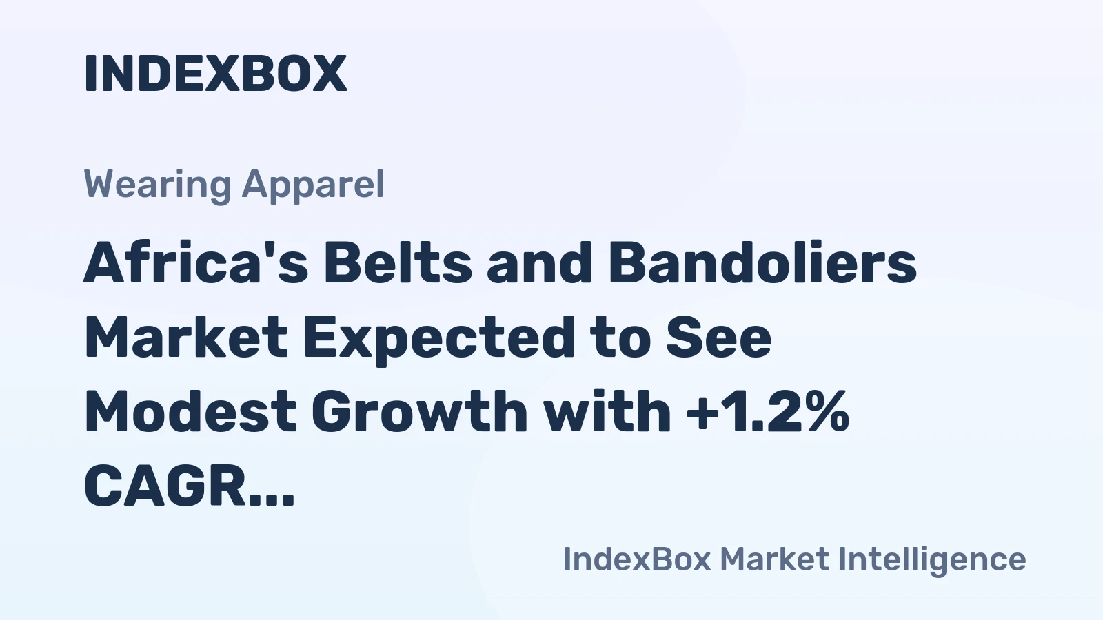 Africa's Belts and Bandoliers Market Expected to See Modest Growth with +1.2% CAGR