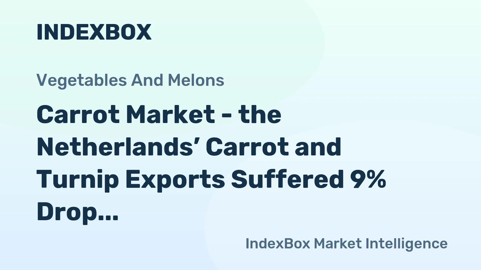 Carrot Market - the Netherlands’ Carrot and Turnip Exports Suffered 9% Drop in 2014