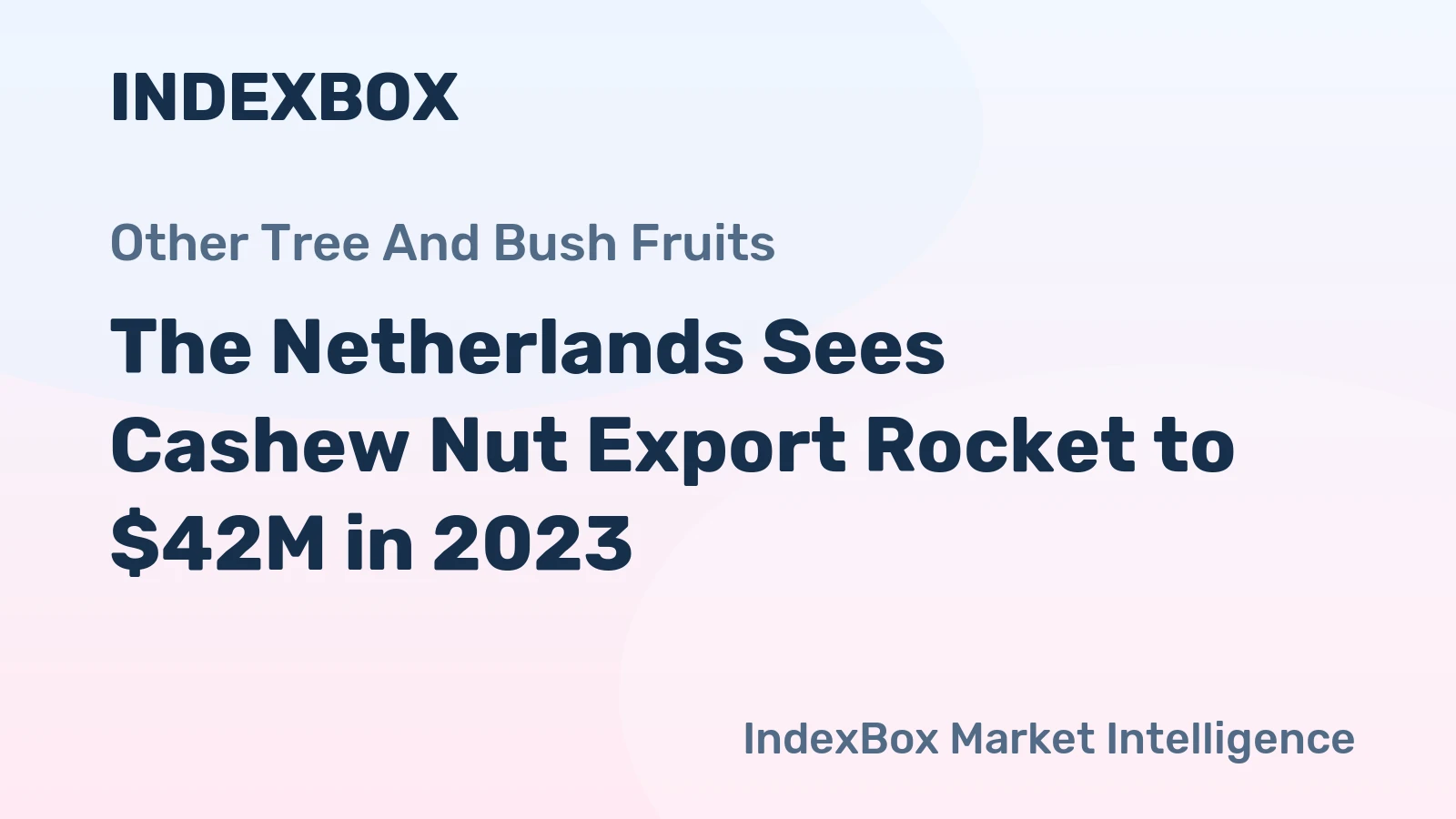 The Netherlands Sees Cashew Nut Export Rocket to $42M in 2023