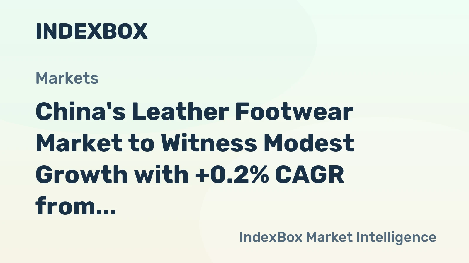 China's Leather Footwear Market to Witness Modest Growth with +0.2% CAGR from 2024 to 2035