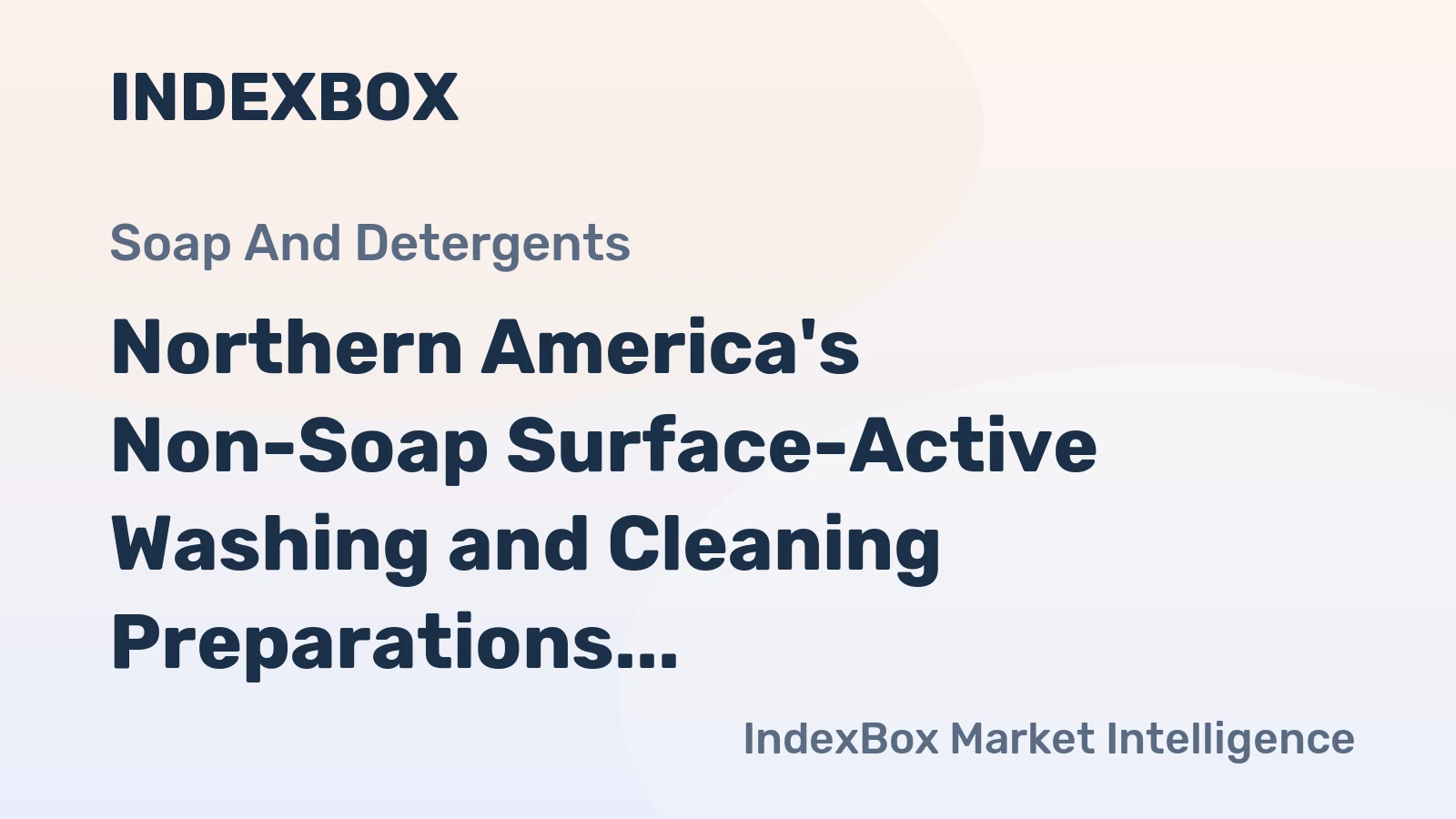 Northern America's Non-Soap Surface-Active Washing and Cleaning Preparations Market to Grow at a CAGR of +1.7% from 2024 to 2035