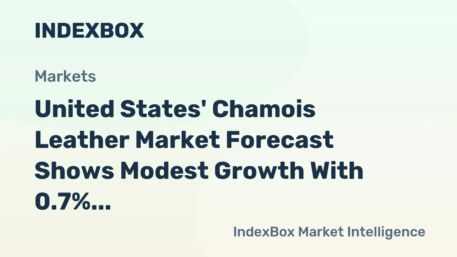 United States' Chamois Leather Market Forecast Shows Modest Growth With 0.7% CAGR in Value