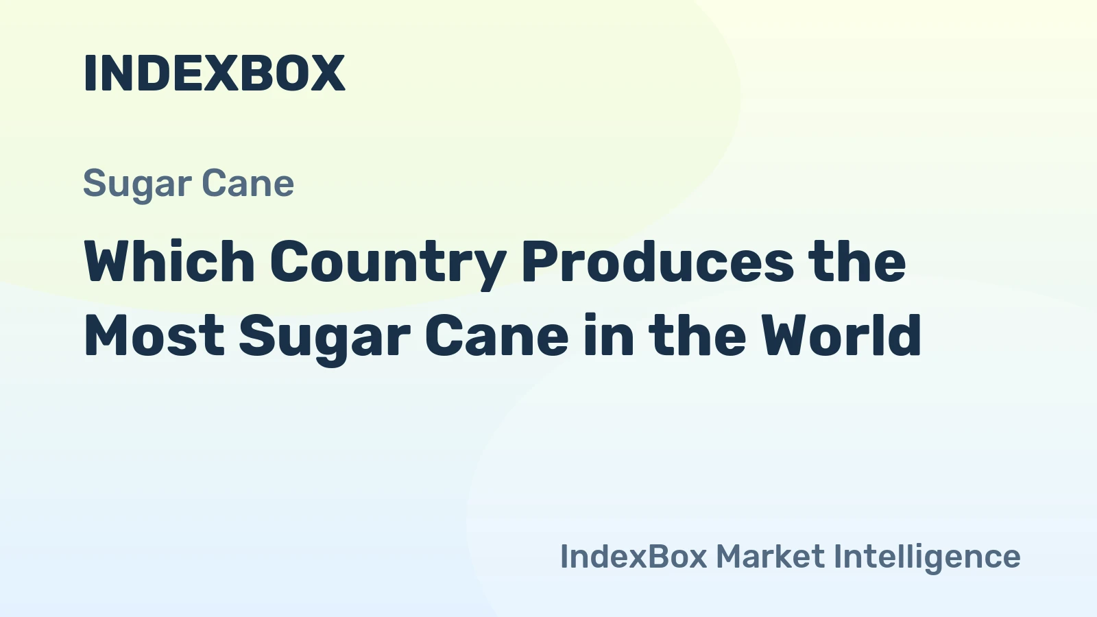 Which Country Produces the Most Sugar Cane in the World?