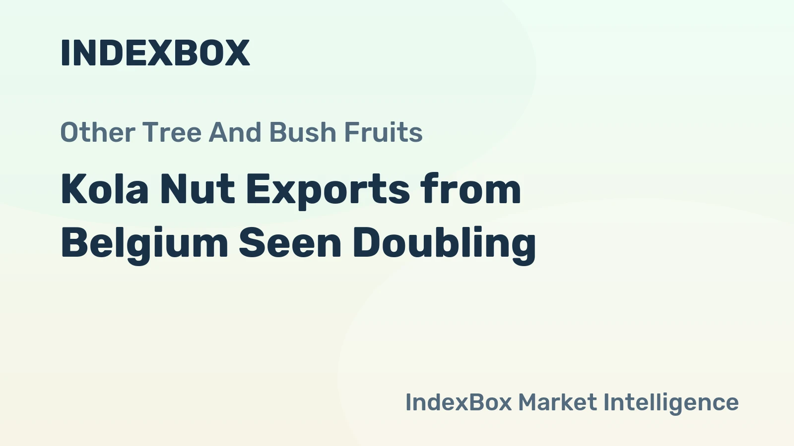 Kola Nut Exports from Belgium Seen Doubling