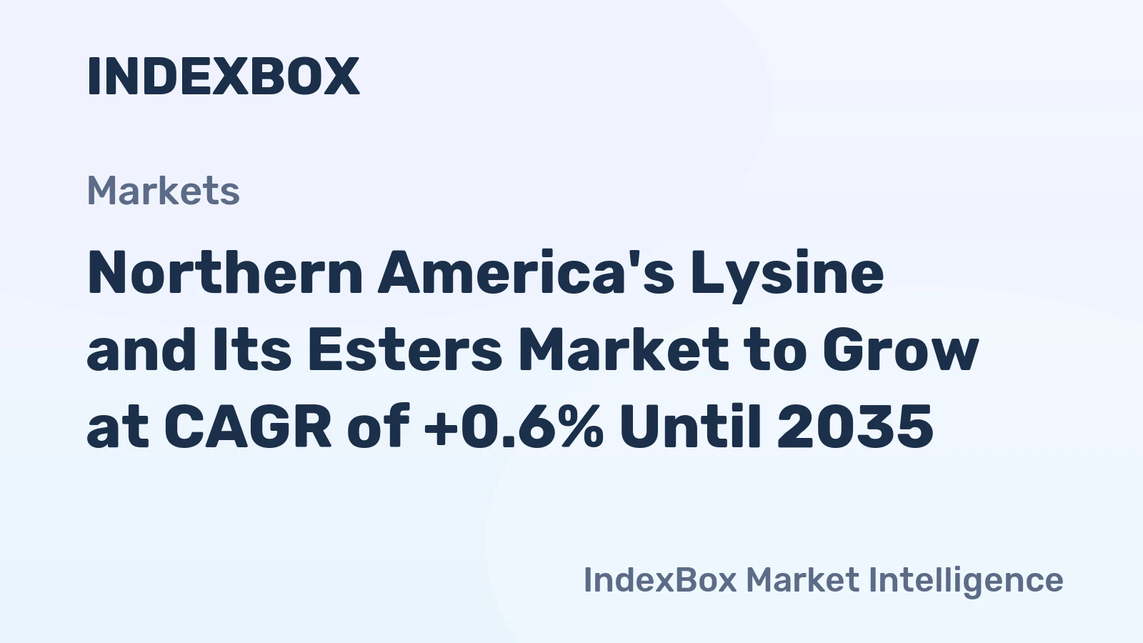 Northern America's Lysine and Its Esters Market to Grow at CAGR of +0.6% Until 2035