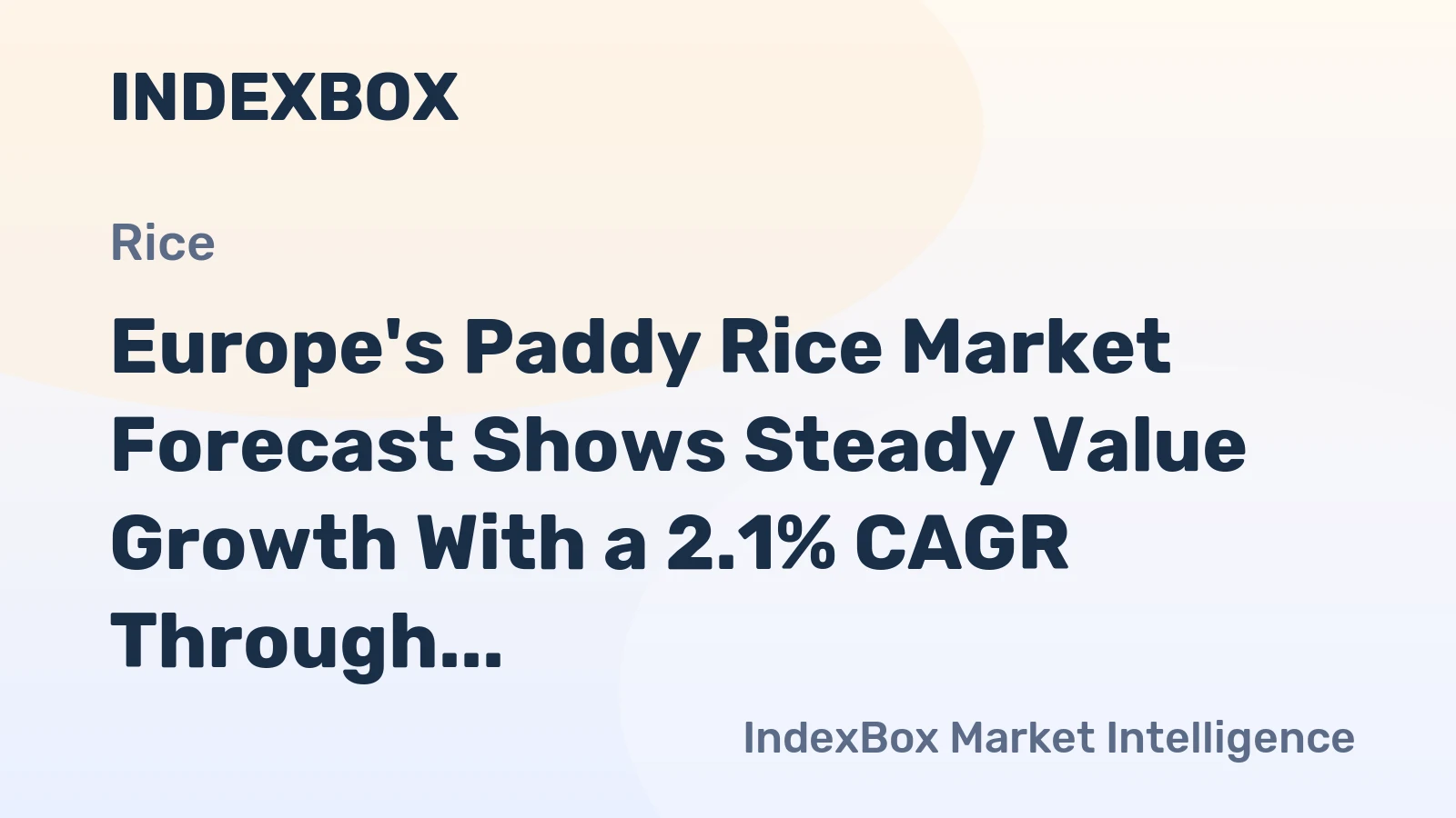 Europe's Paddy Rice Market Forecast Shows Steady Value Growth With a 2.1% CAGR Through 2035