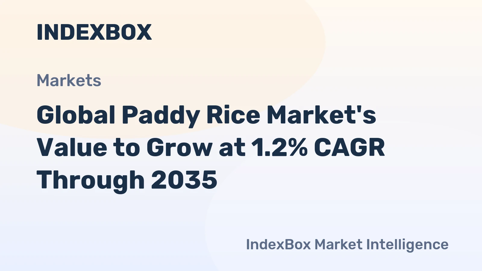 Global Paddy Rice Market's Value to Grow at 1.2% CAGR Through 2035