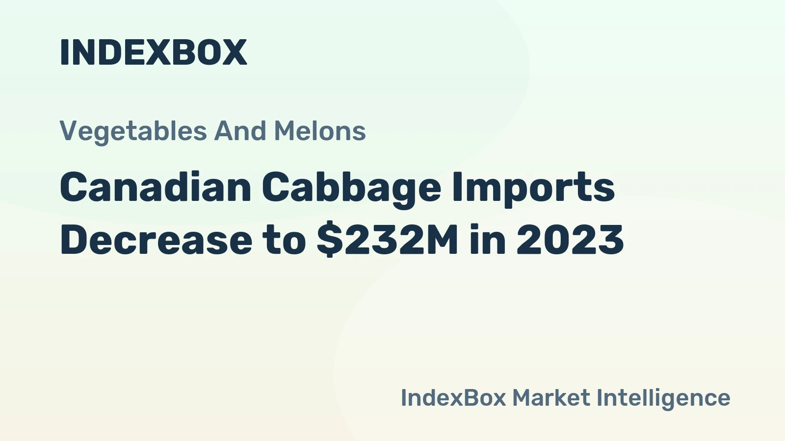 Canadian Cabbage Imports Decrease to $232M in 2023