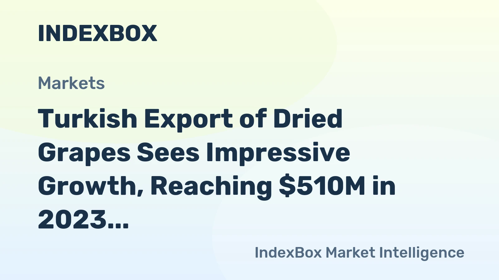 Turkish Export of Dried Grapes Sees Impressive Growth, Reaching $510M in 2023