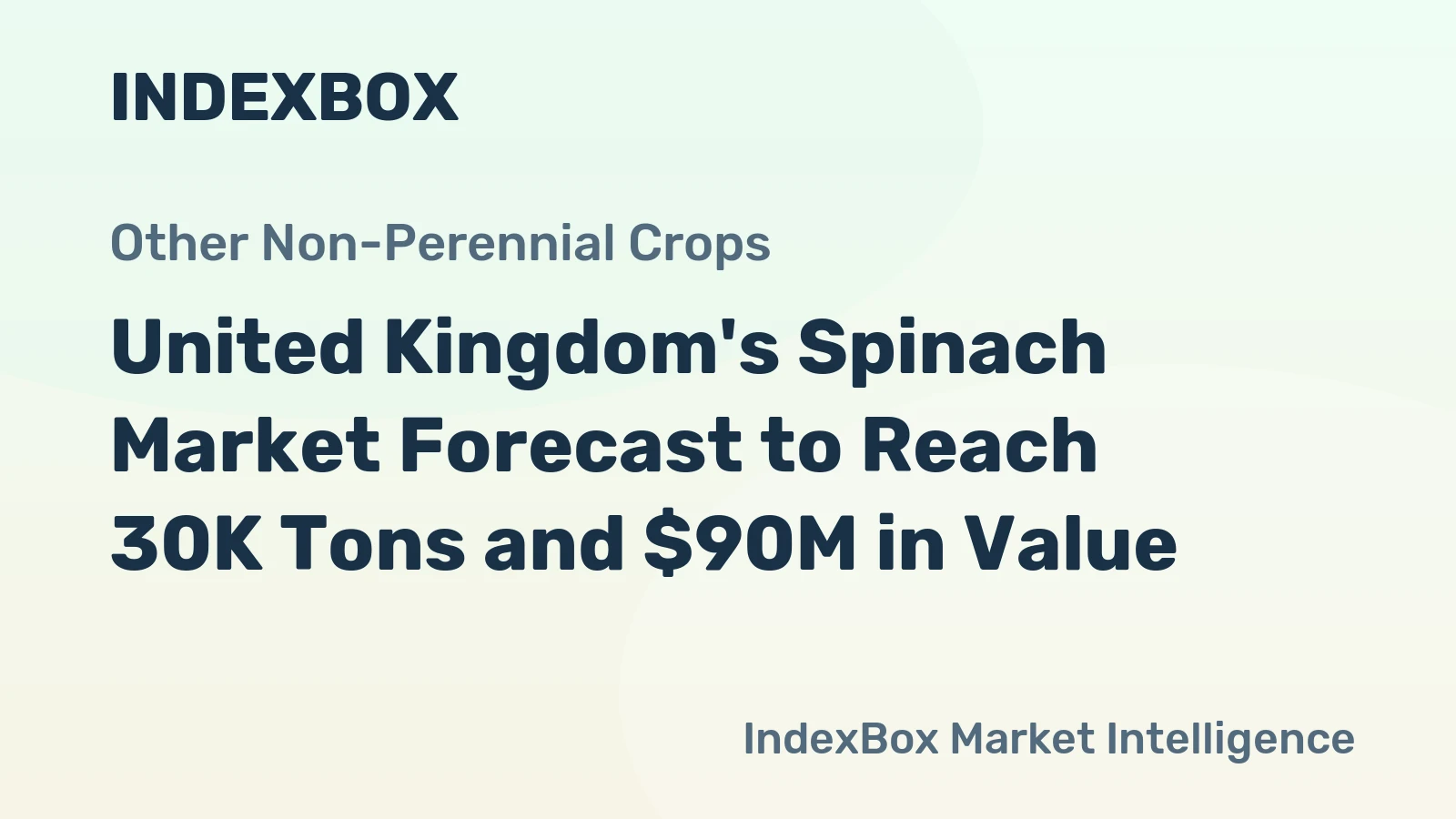 United Kingdom's Spinach Market Forecast to Reach 30K Tons and $90M in Value
