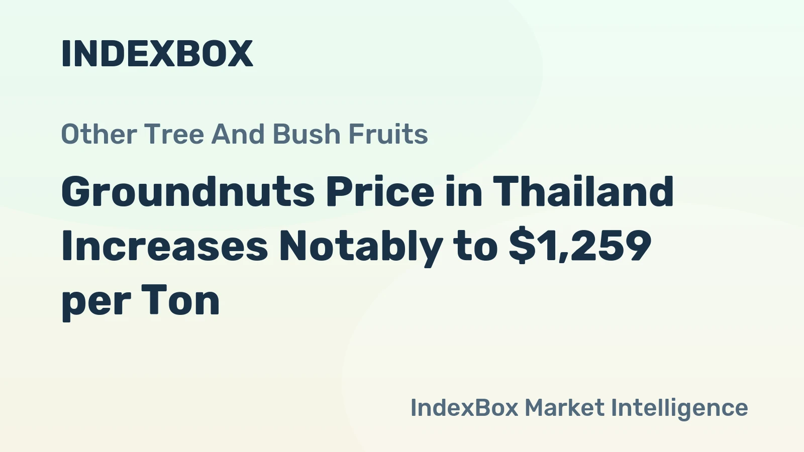 Groundnuts Price in Thailand Increases Notably to $1,259 per Ton