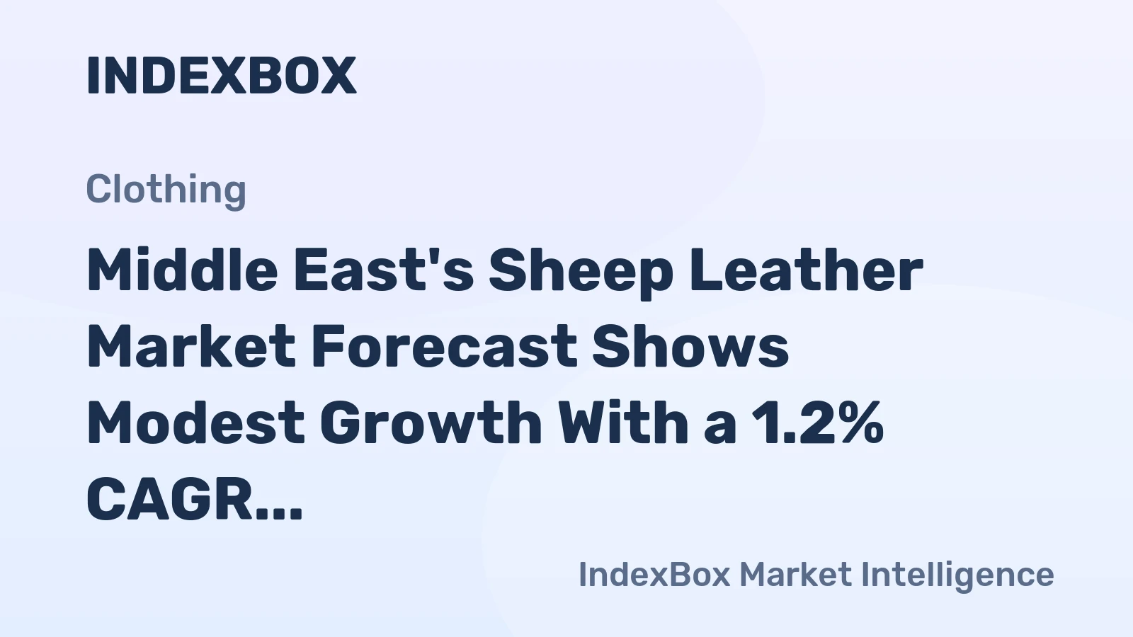Middle East's Sheep Leather Market Forecast Shows Modest Growth With a 1.2% CAGR in Value