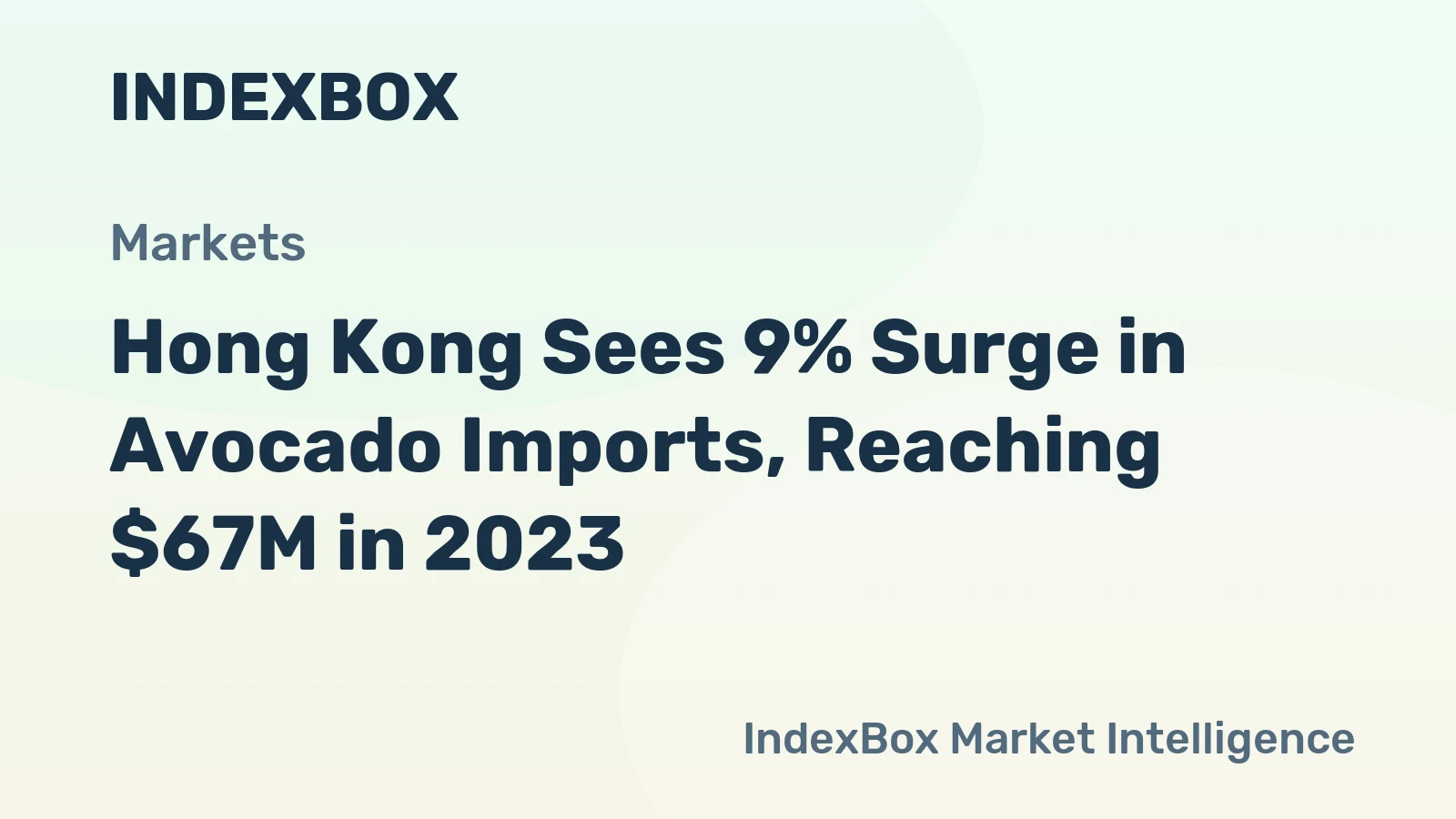 Hong Kong Sees 9% Surge in Avocado Imports, Reaching $67M in 2023