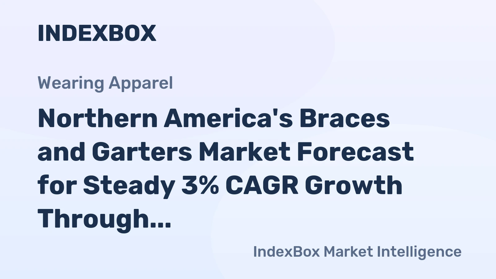Northern America's Braces and Garters Market Forecast for Steady 3% CAGR Growth Through 2035
