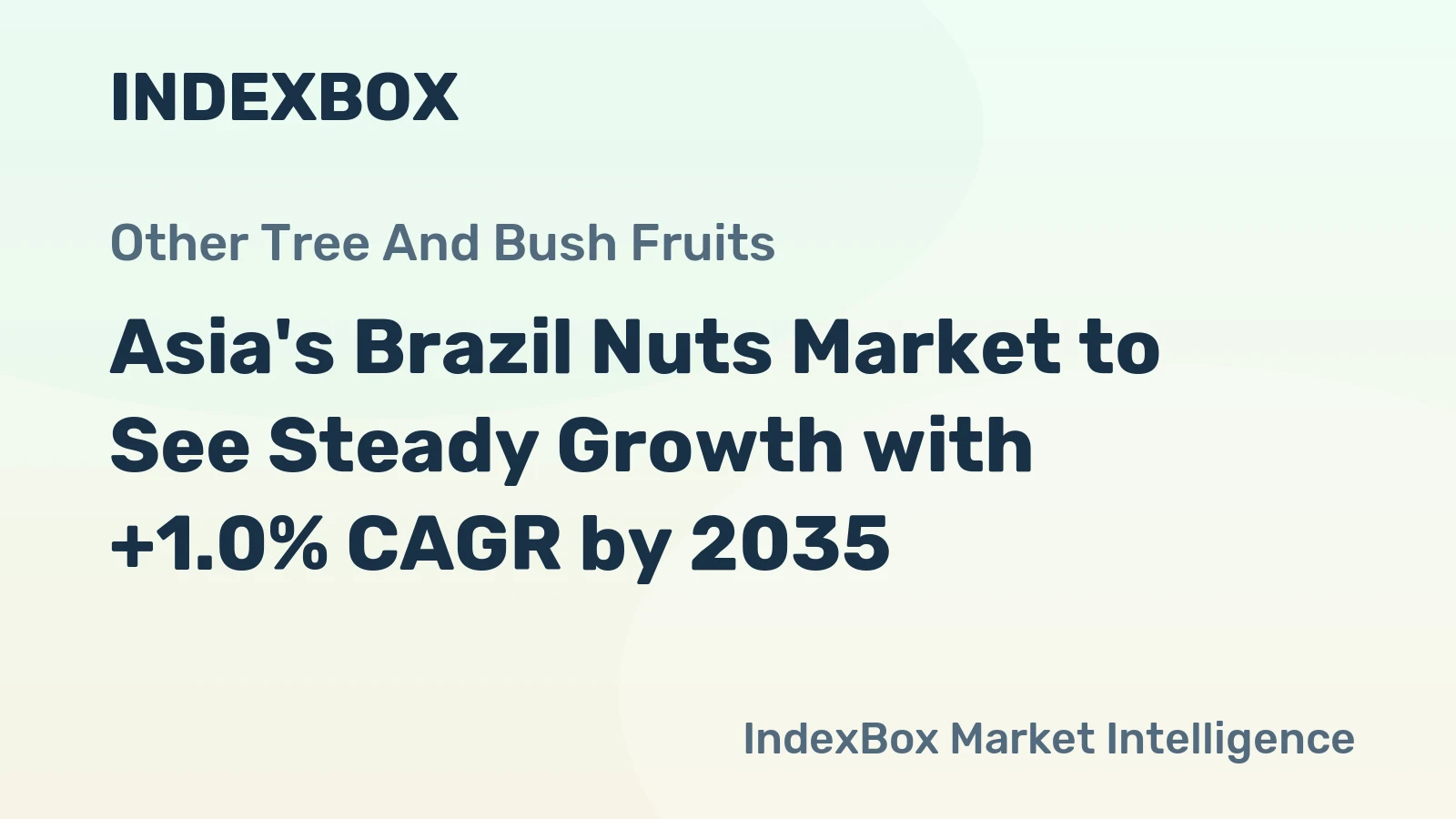 Asia's Brazil Nuts Market to See Steady Growth with +1.0% CAGR by 2035