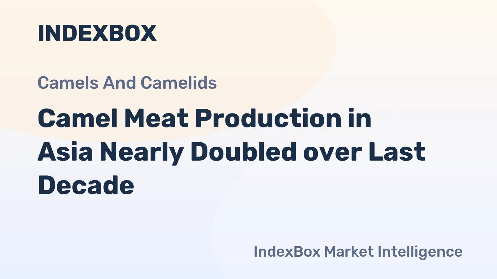 Camel Meat Production in Asia Nearly Doubled over Last Decade
