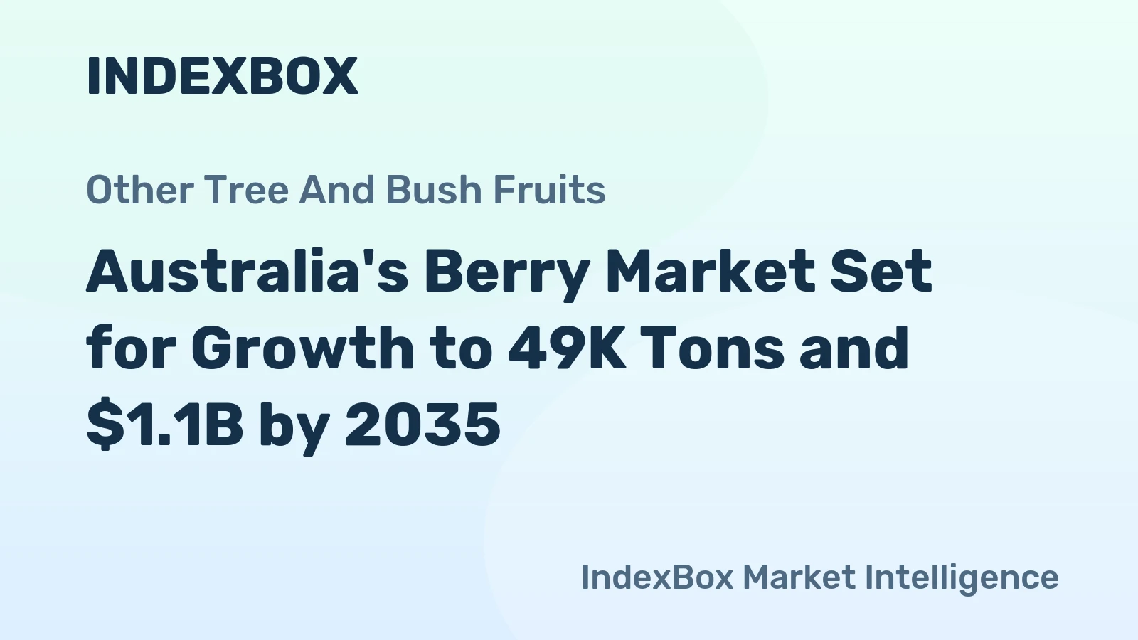 Australia's Berry Market Set for Growth to 49K Tons and $1.1B by 2035