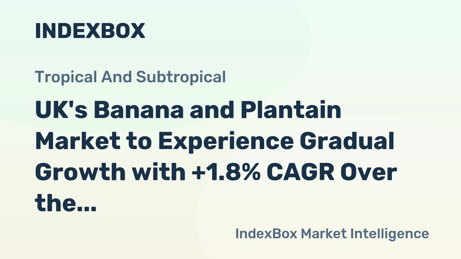 UK's Banana and Plantain Market to Experience Gradual Growth with +1.8% CAGR Over the Next Decade