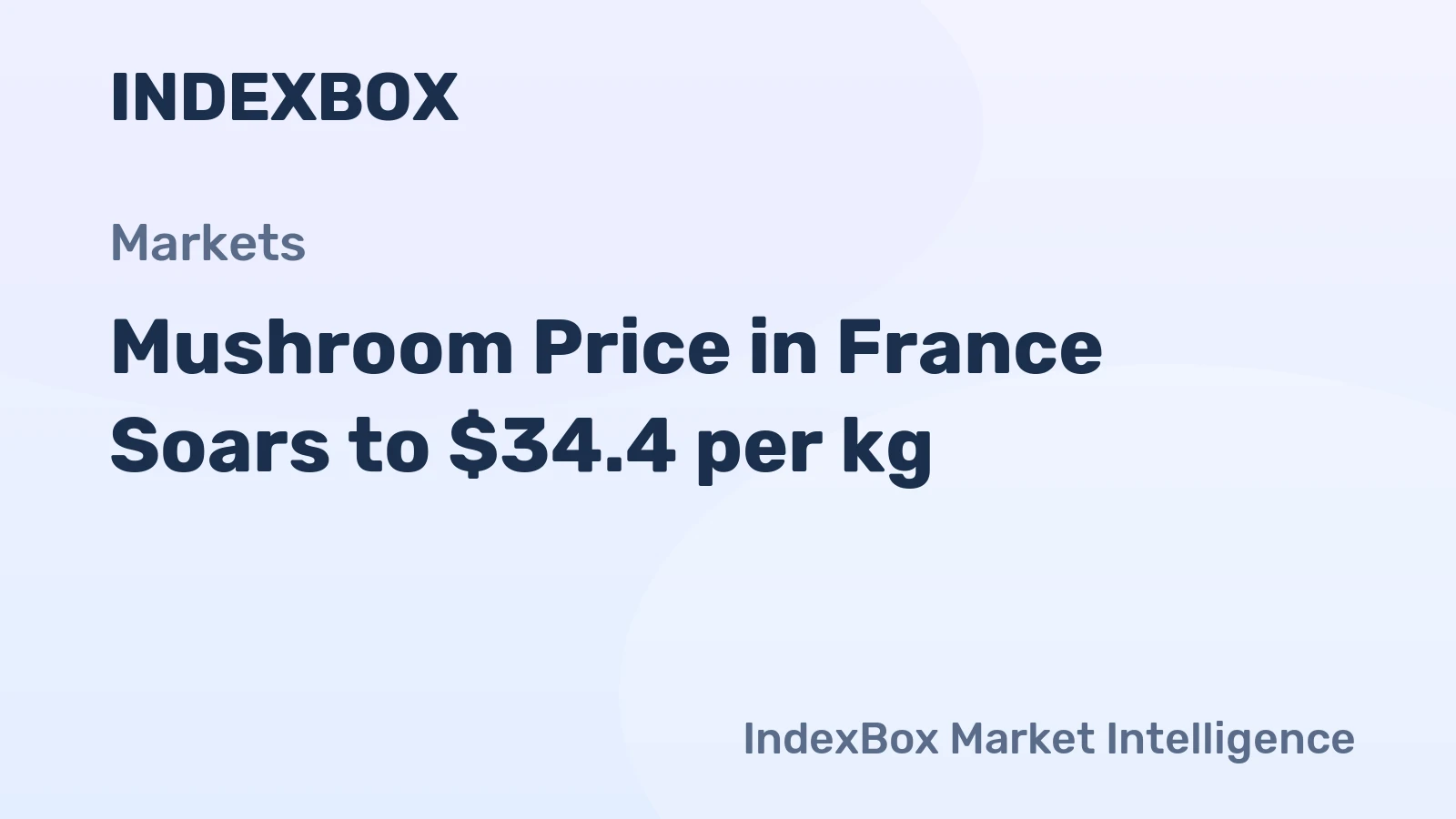 Mushroom Price in France Soars to $34.4 per kg