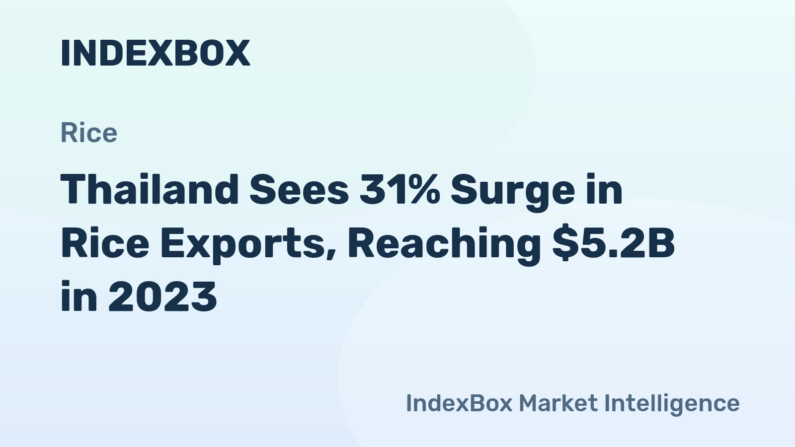 Thailand Sees 31% Surge in Rice Exports, Reaching $5.2B in 2023