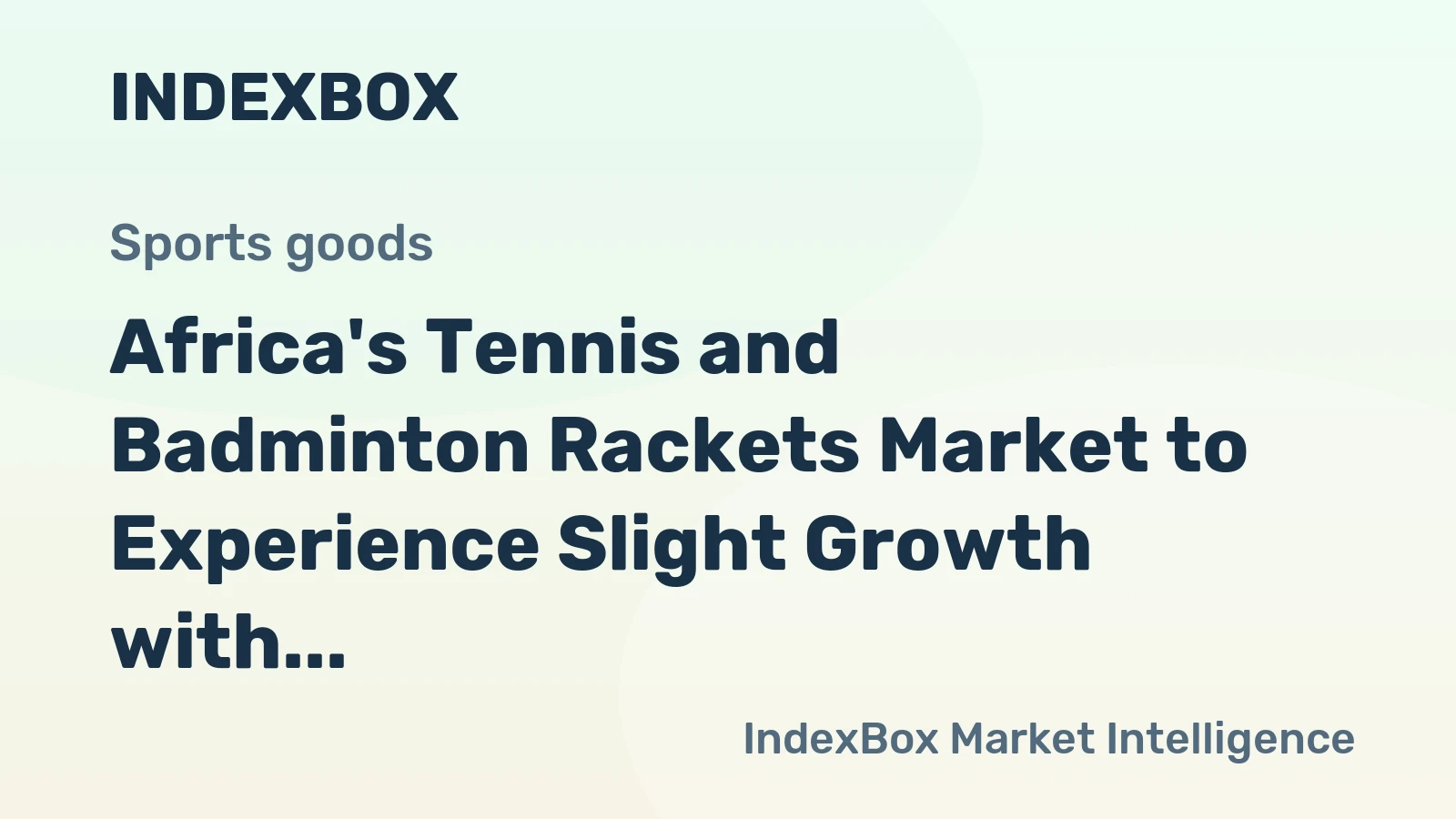 Africa's Tennis and Badminton Rackets Market to Experience Slight Growth with +1.0% CAGR