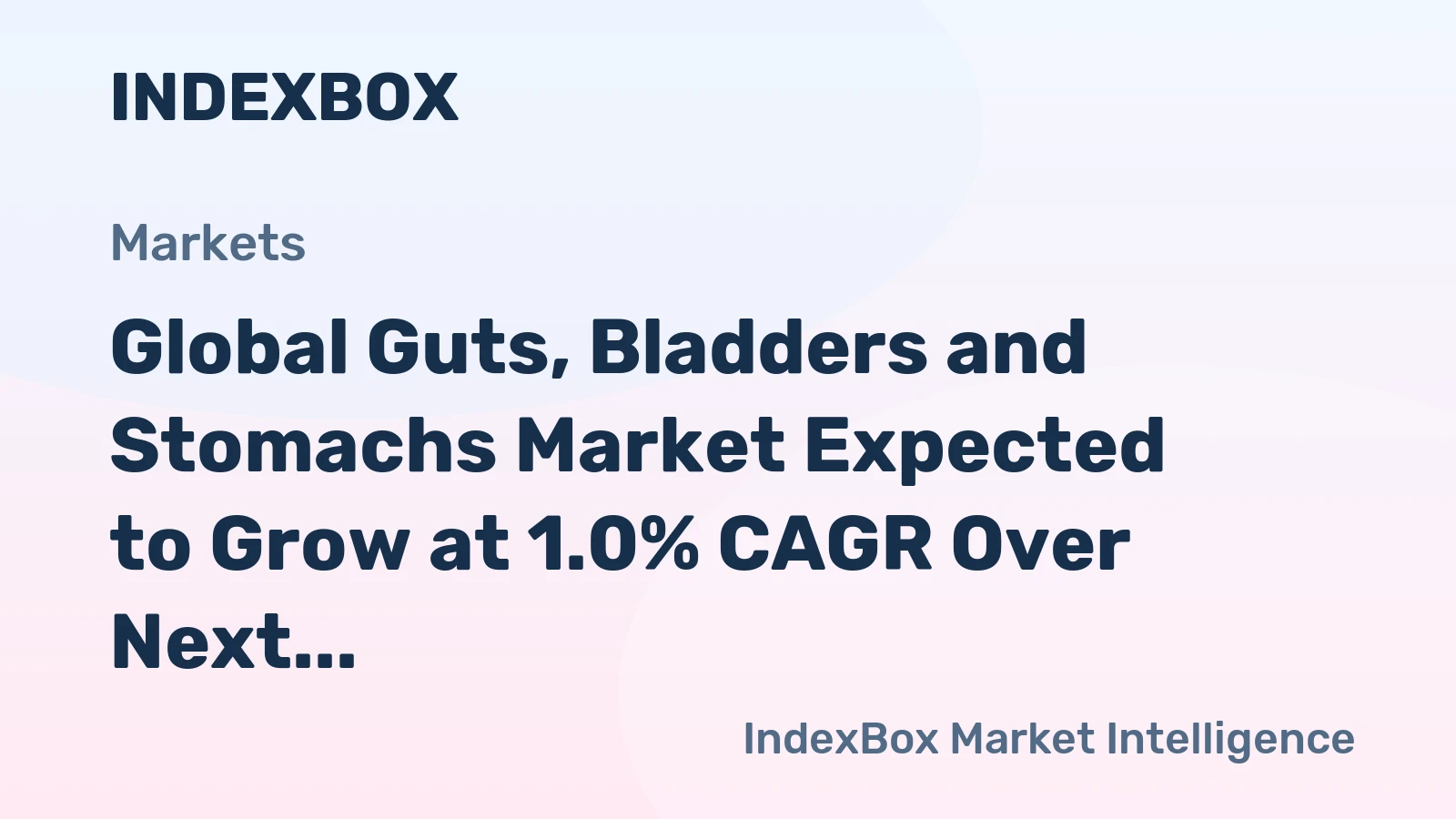 Global Guts, Bladders and Stomachs Market Expected to Grow at 1.0% CAGR Over Next Decade