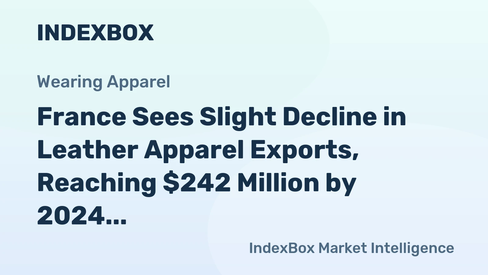 France Sees Slight Decline in Leather Apparel Exports, Reaching $242 Million by 2024