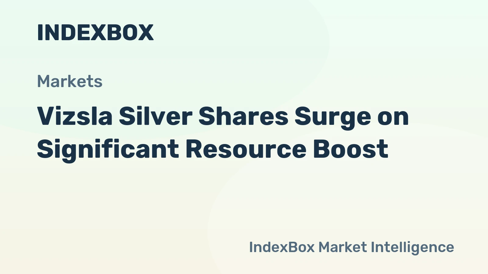 Vizsla Silver Shares Surge on Significant Resource Boost