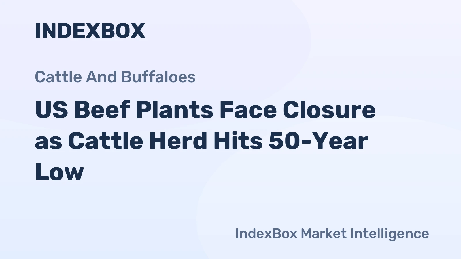 US Beef Plants Face Closure as Cattle Herd Hits 50-Year Low