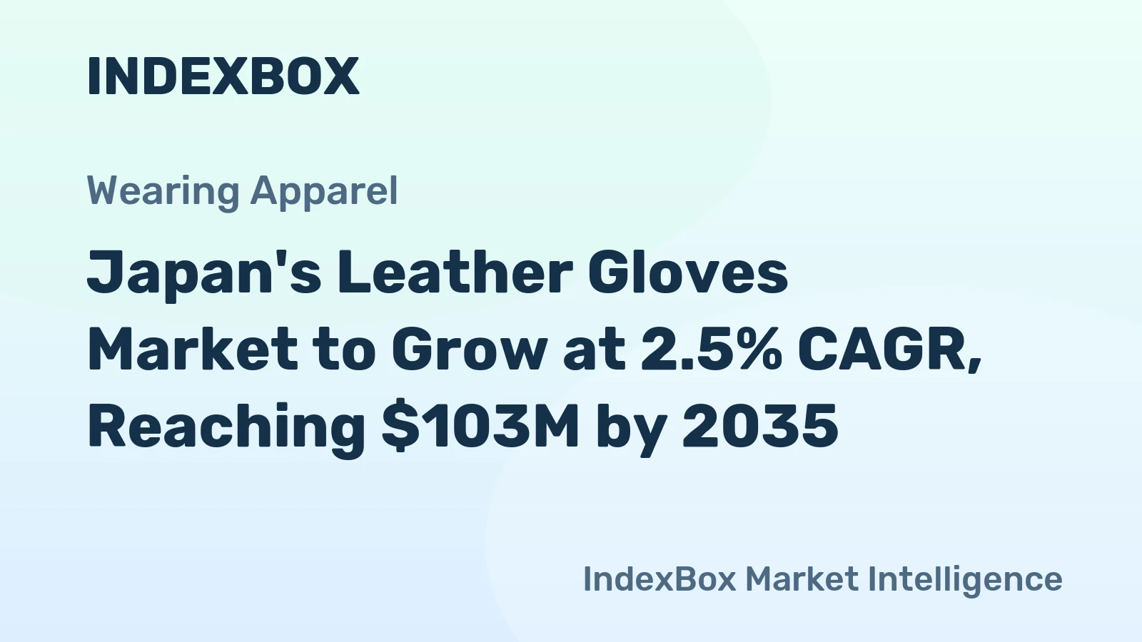 Japan's Leather Gloves Market to Grow at 2.5% CAGR, Reaching $103M by 2035