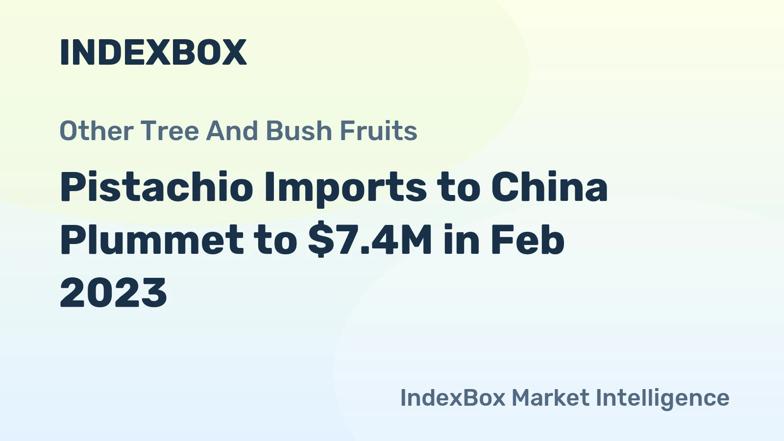 Pistachio Imports to China Plummet to $7.4M in Feb 2023